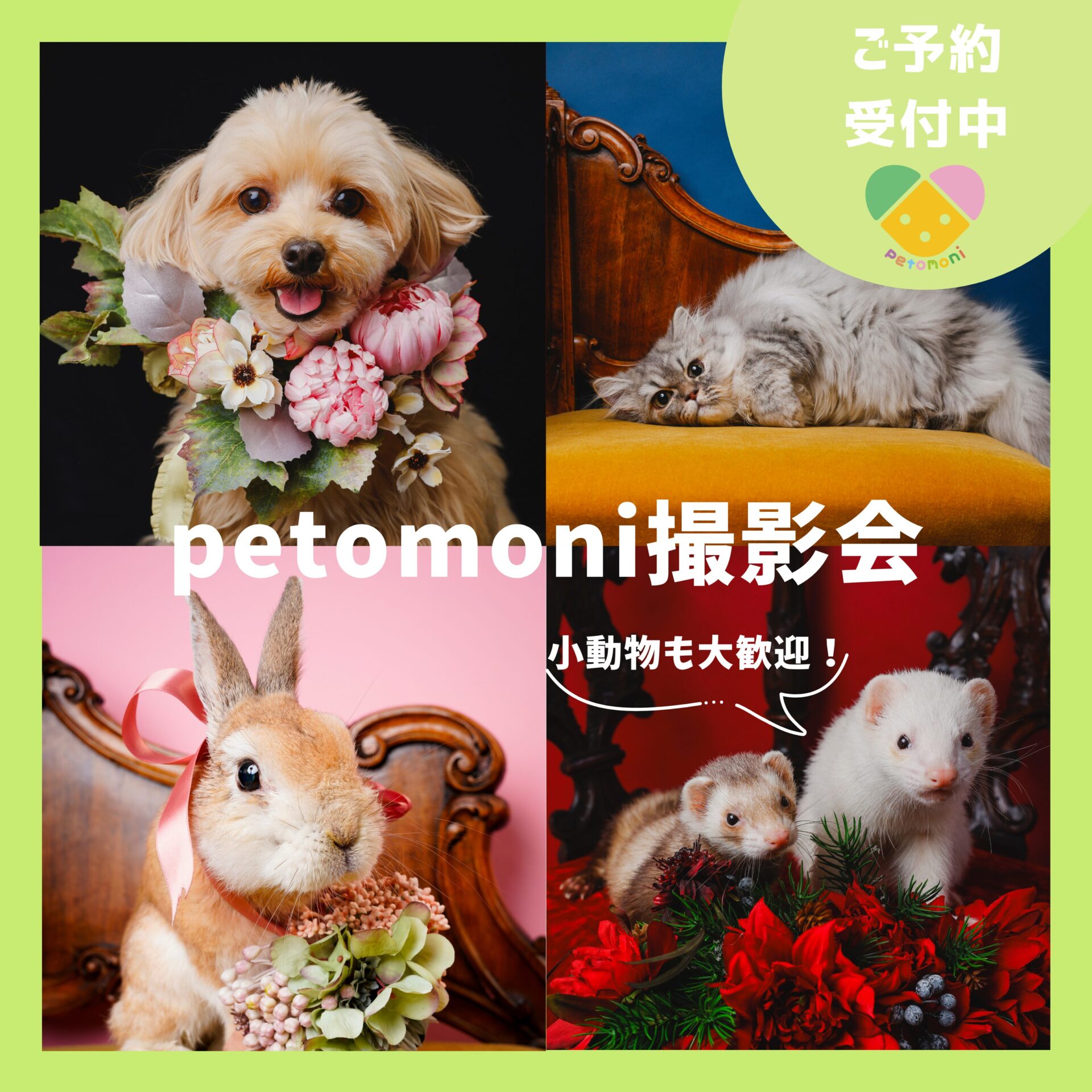【petomoni撮影会】開催スケジュール | ペットフォレスト